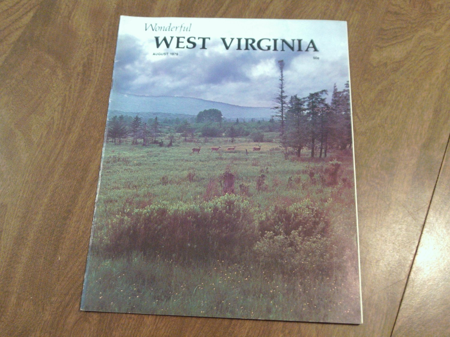Wonderful West Virginia Magazine August 1979 Vol 43 No 6 Lilly Reunion ...