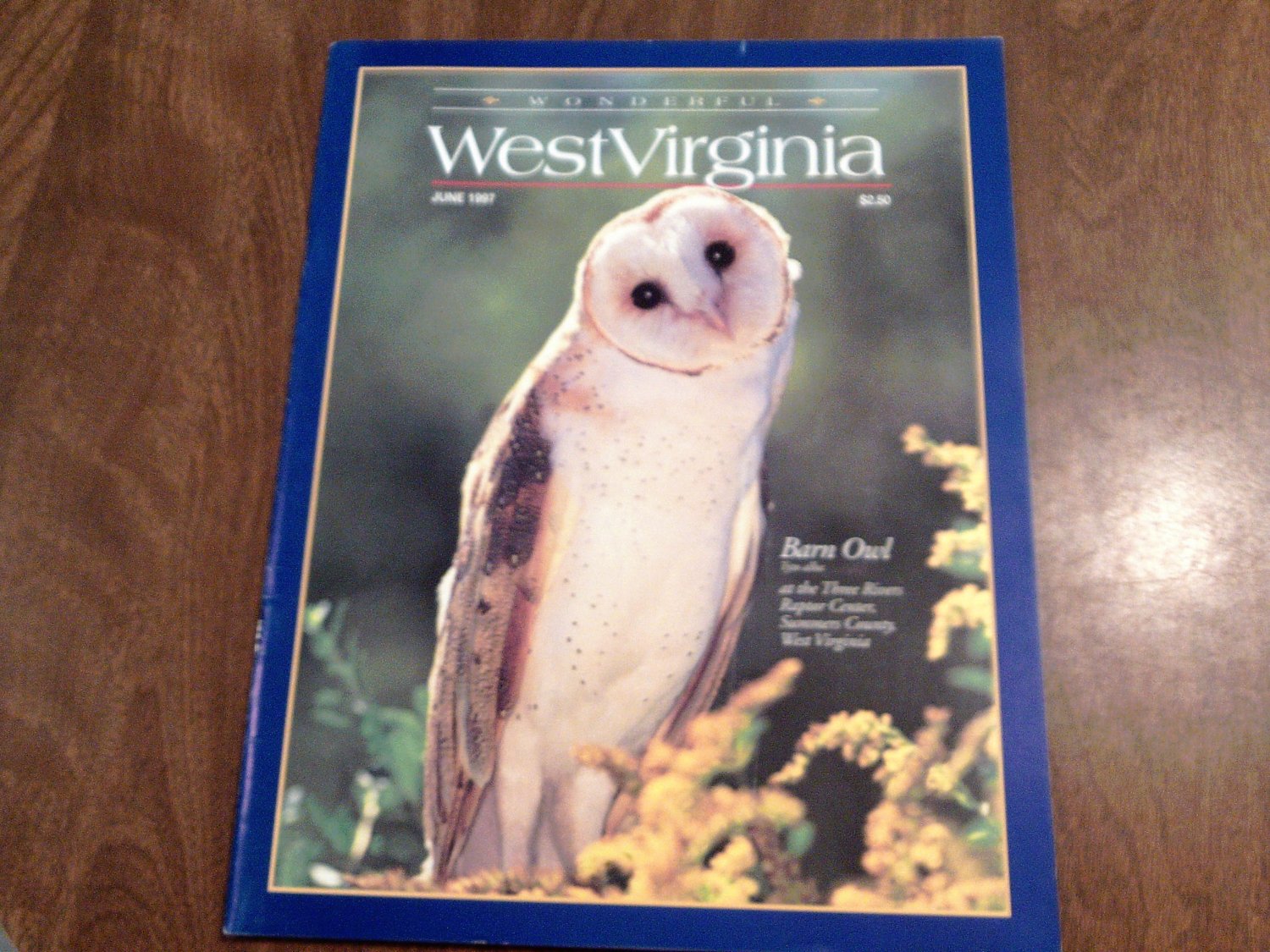 Wonderful West Virginia Magazine June 1997 Volume 61 No. 4 The Potomac ...