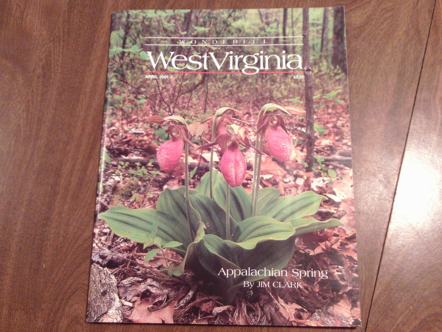 Wonderful West Virginia Magazine April 2001 Volume 65 No. 4 Ritchie ...