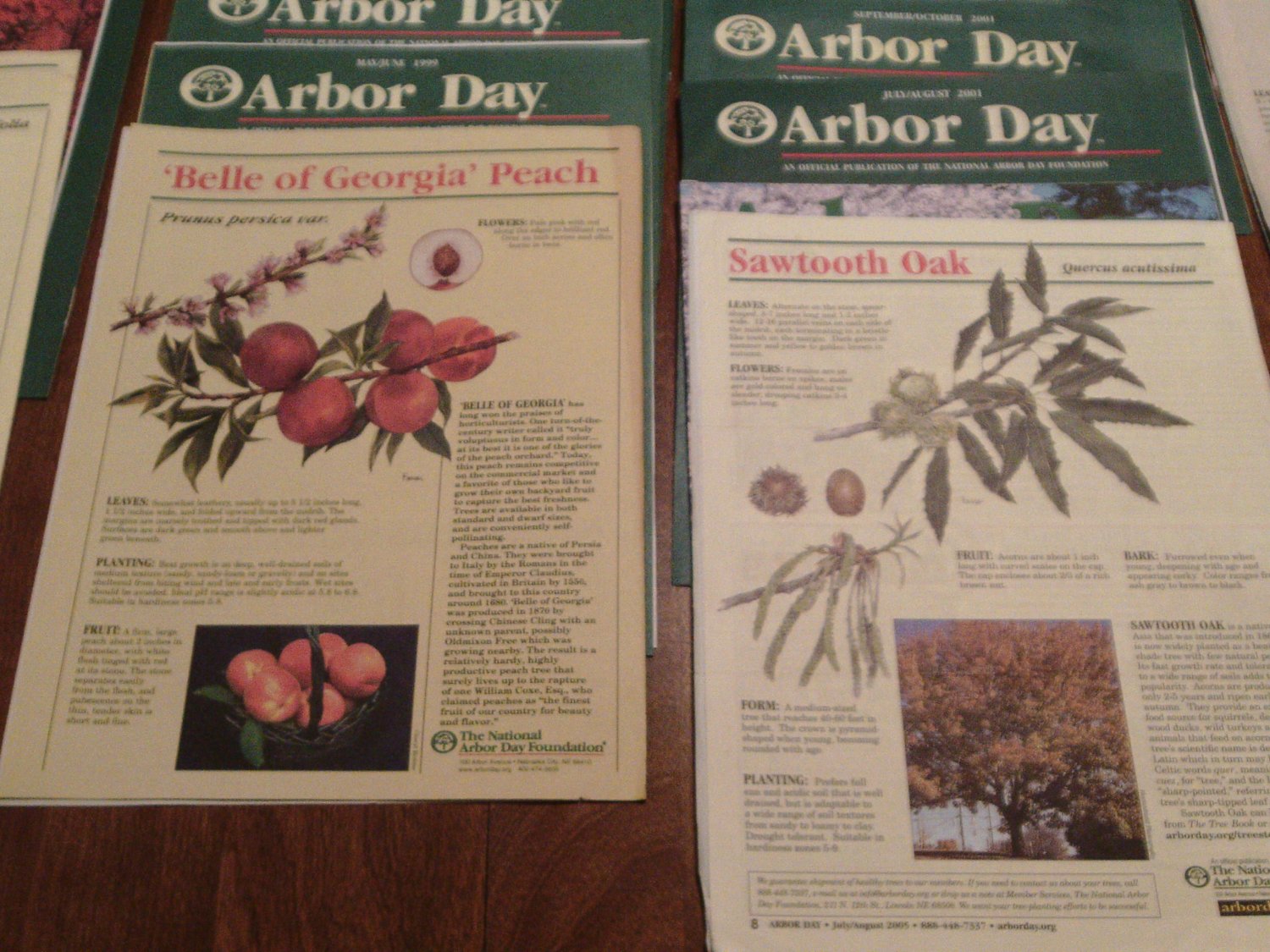 Lot of 40 Arbor Day Official Publications of The National Arbor Day ...