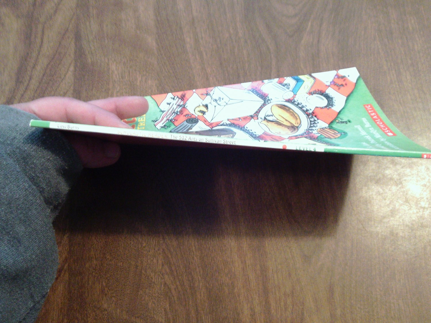 The 512 Ants on Sullivan Street by Carol A. Losi (2006) (L4) A Math ...