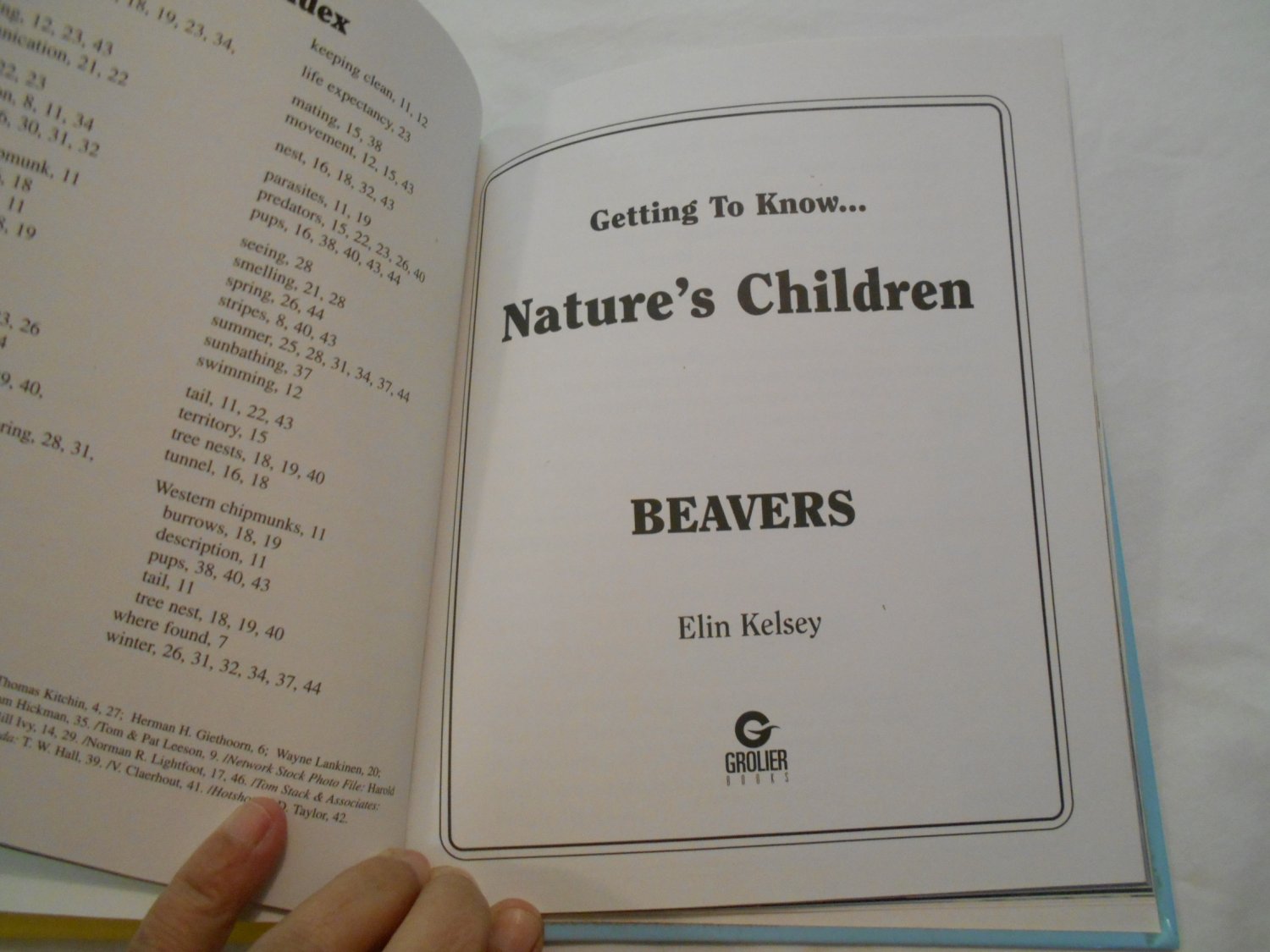 Getting to Know CHIPMUNKS Merebeth Switzer BEAVERS by Elin Kelsey (1996 ...