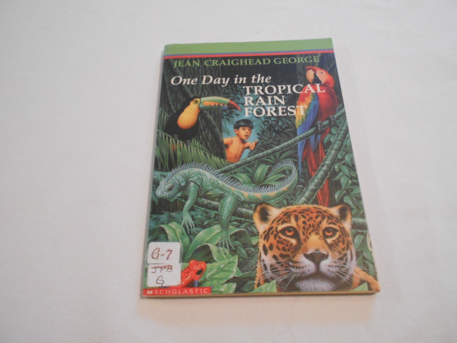 One Day In The Tropical Rain Forest by Jean Craighead George (1990) (B5 ...