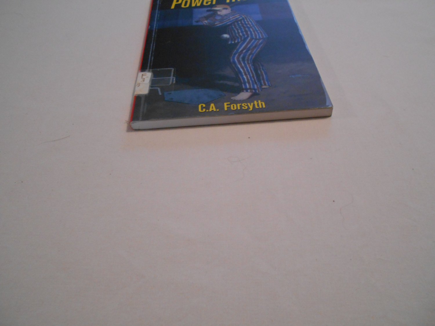 Power Hitter by Christine Forsyth (2001) (L3) Lorimer Sport Stories #41 PB