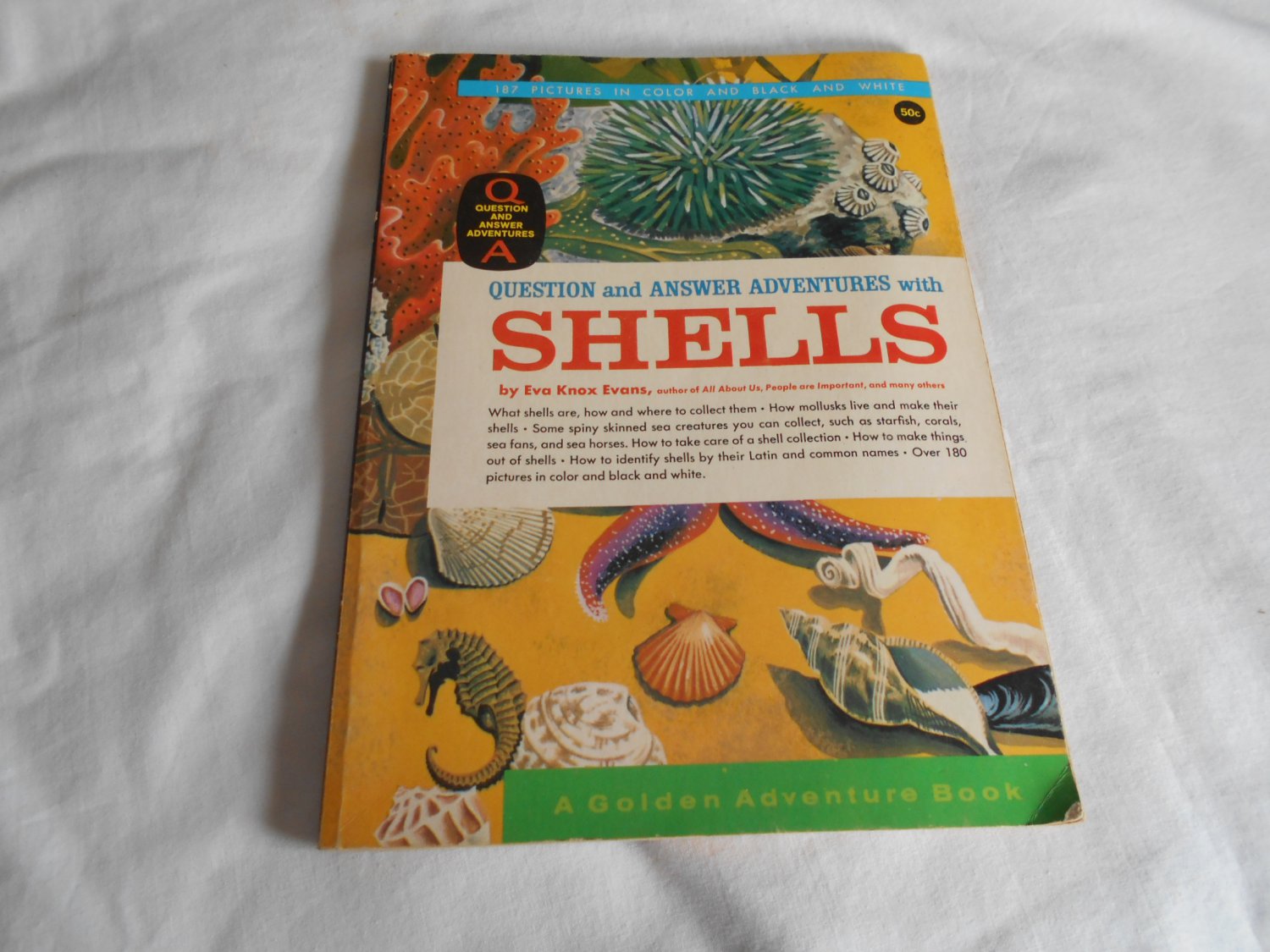 The Adventure Book of Shells by Eva Knox Evans (1955) (B13) Capitol ...