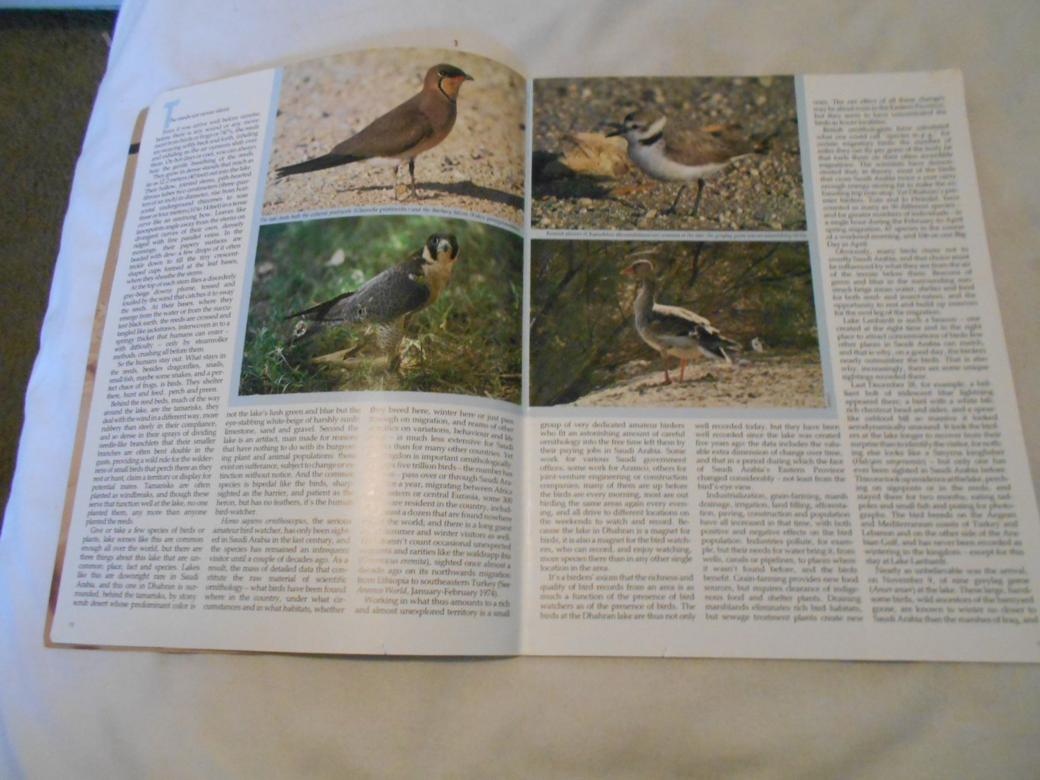 Aramco World Magazine November-December 1986 Tentmakers of Cairo (138)