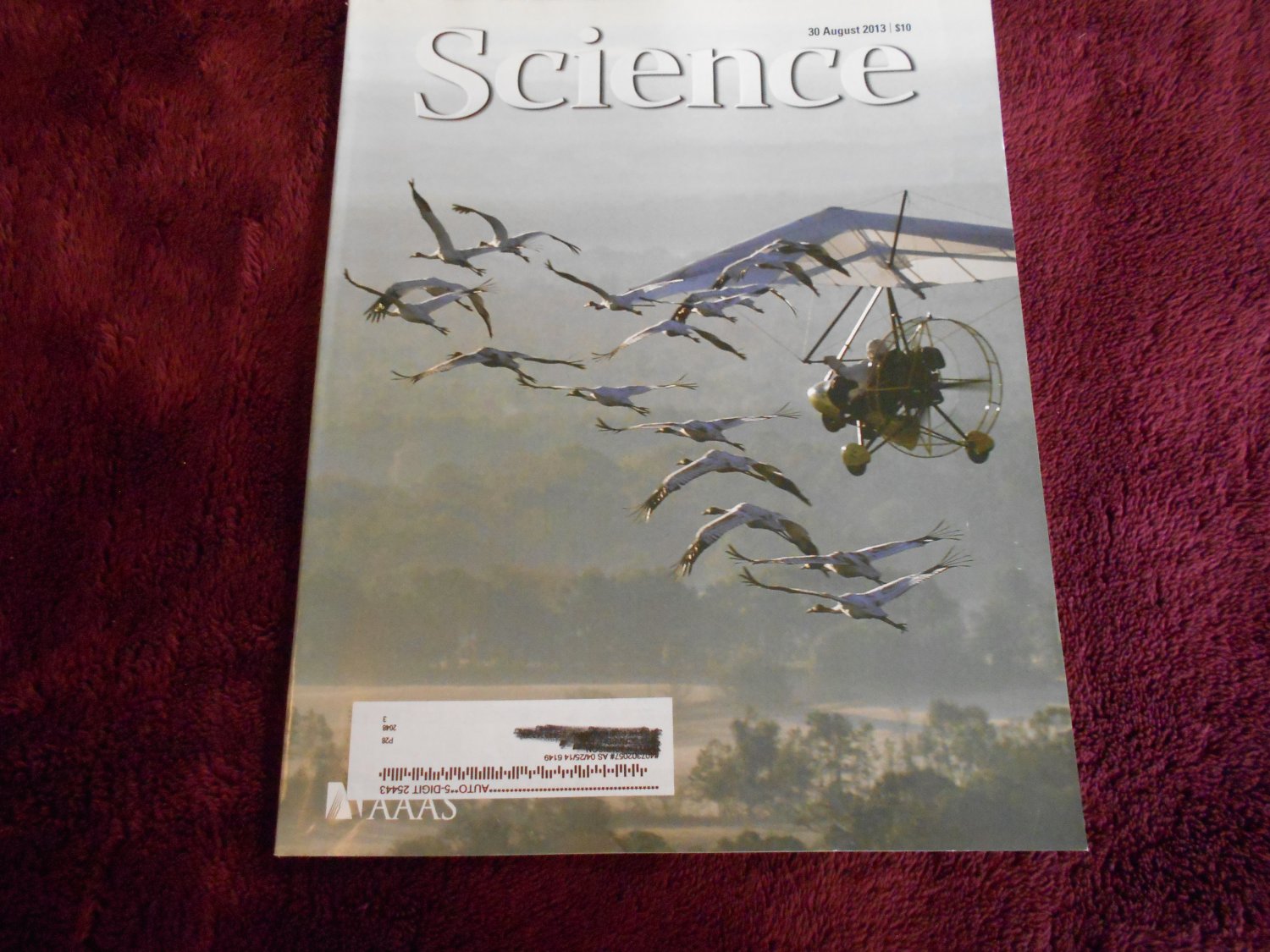 AAAS Science Magazine 30 August 2013 Vol 341 No 6149 Pages 929-1032 (BZ)