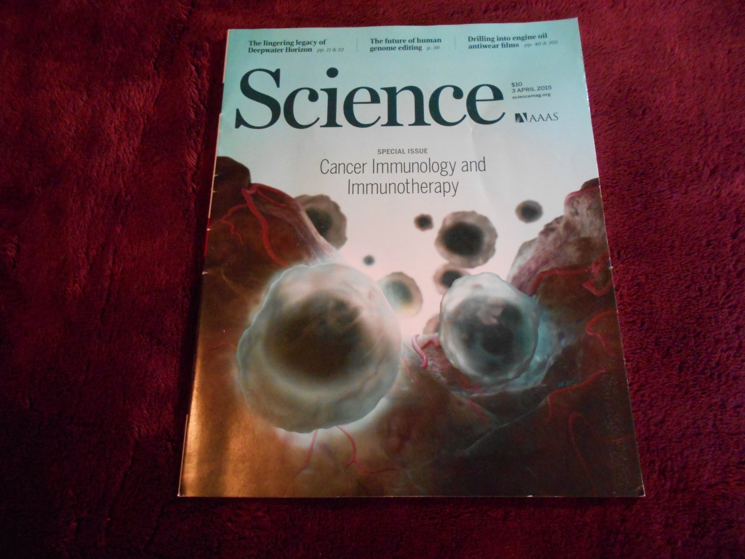 AAAS Science Magazine 10 April 2015 Vol 348 No 6231 Pages 153-256 ...