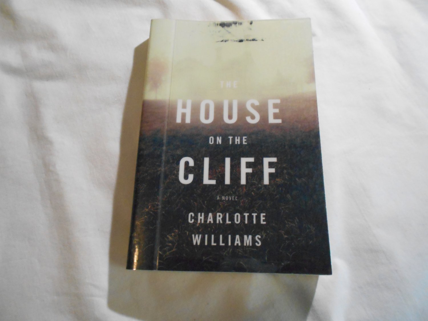 The House on the Cliff by Charlotte Williams (2013) (L6) Jessica Mayhew ...
