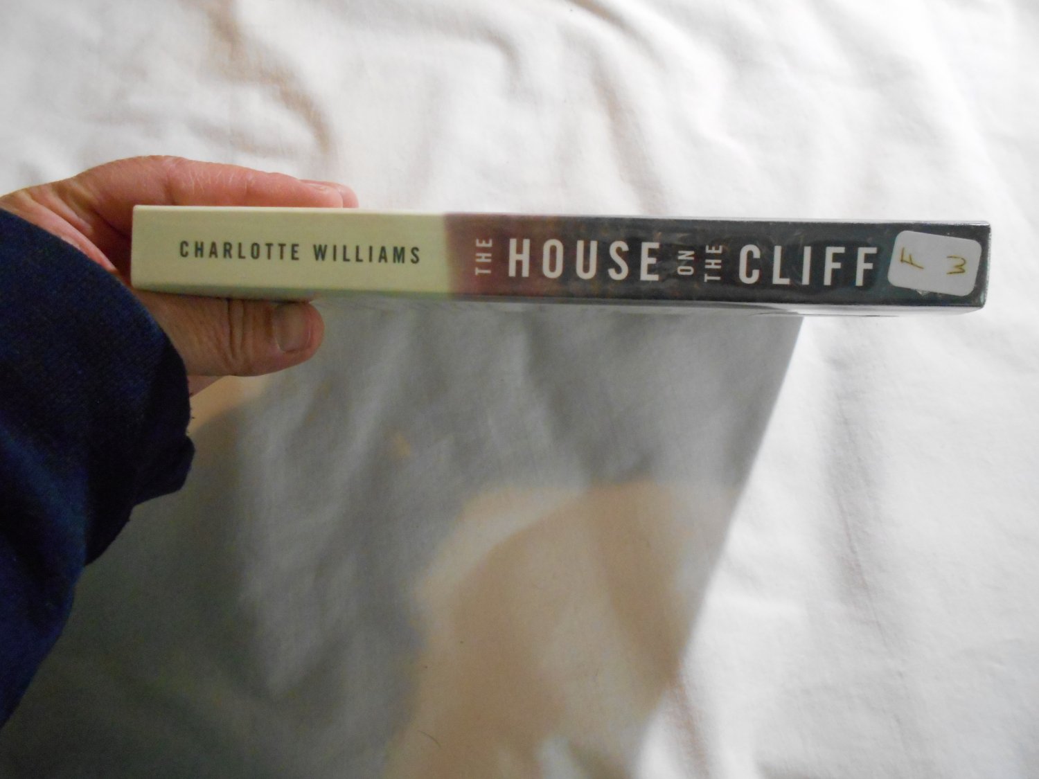 The House on the Cliff by Charlotte Williams (2013) (L62b7) Jessica ...