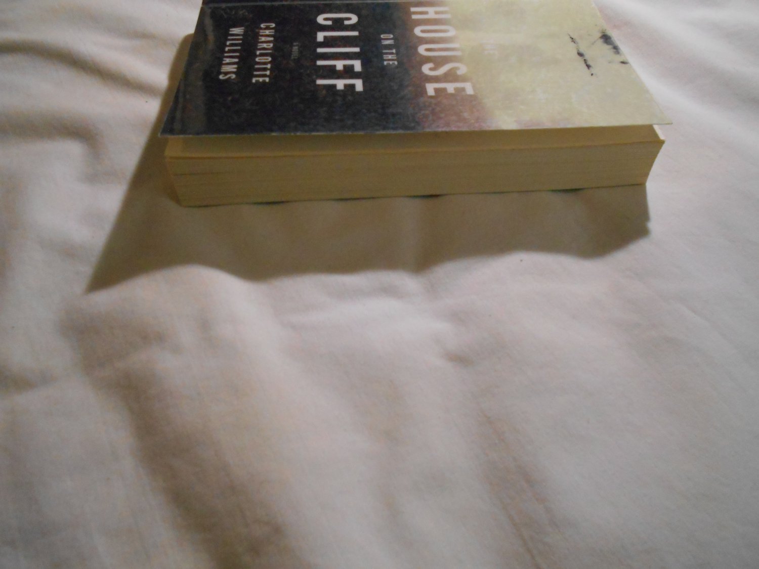The House on the Cliff by Charlotte Williams (2013) (L6) Jessica Mayhew ...