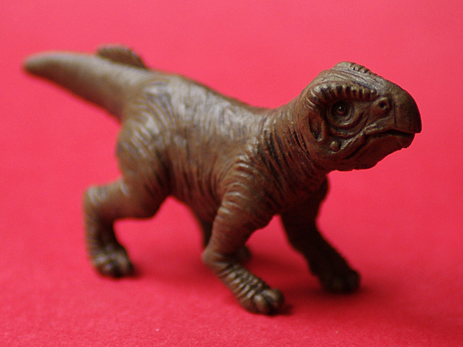 Psittacosaurus dinosaur collectible Dinowaurs