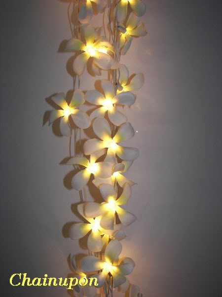 35 WHITE FRANGIPANI STRING PARTY,PATIO,WEDDING LIGHTS