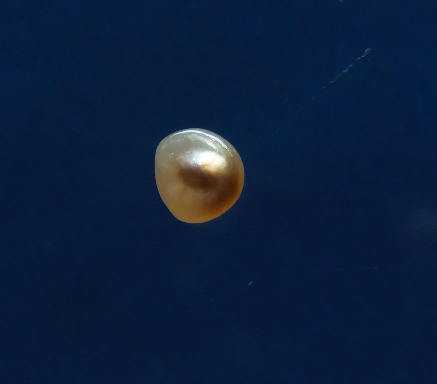 B317 20818 Pteria penguin, 6 mm 3.4ct