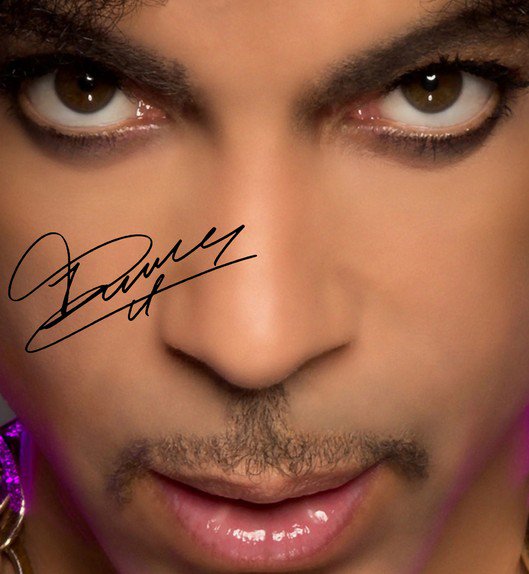 PRINCE SIGNED PHOTO 8X10 RP AUTOGRAPHED MUSICIAN