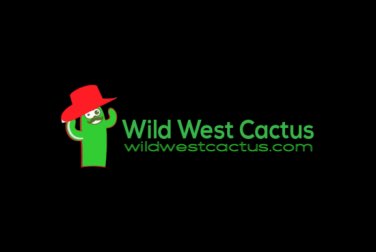 Wholesale Cowboy Cactus Antenna Cover Topper - 12 pack