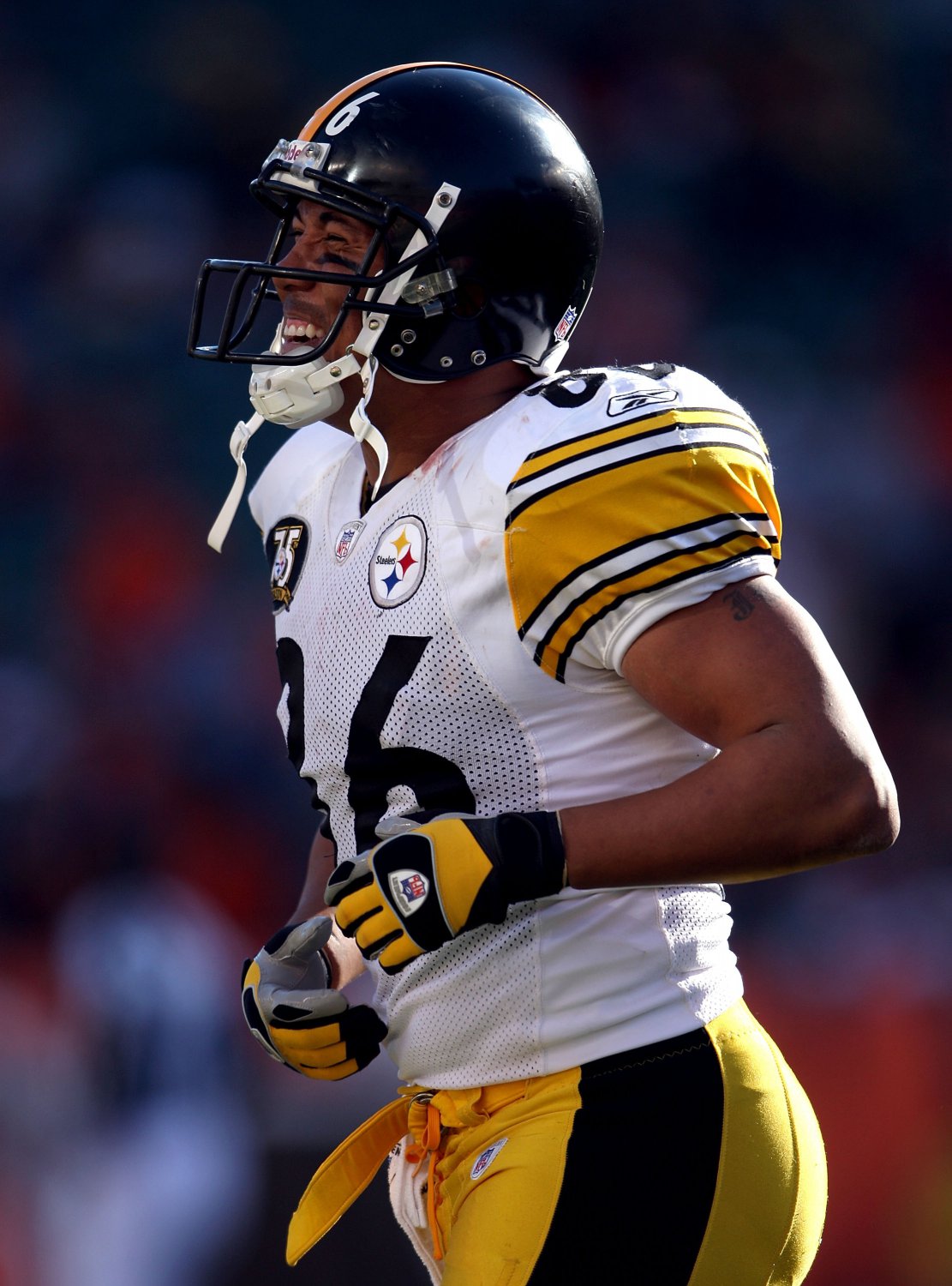 2007 NFL Pittsburgh Steelers Photo Collection