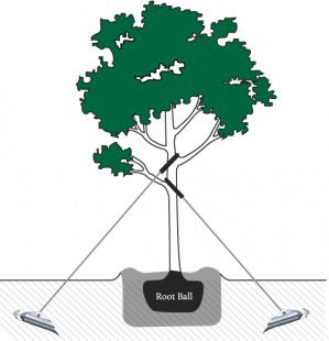 Duckbill Tree Guying Kit Model 68DTS