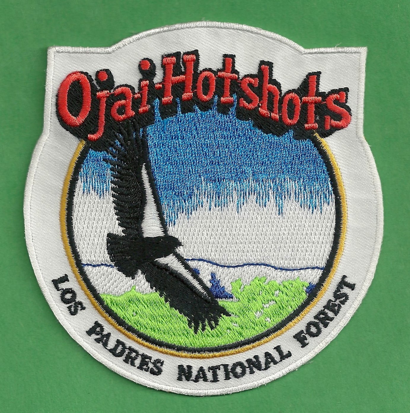 Los Padres National Forest Ojai USFS Hot Shot Crew Fire Patch