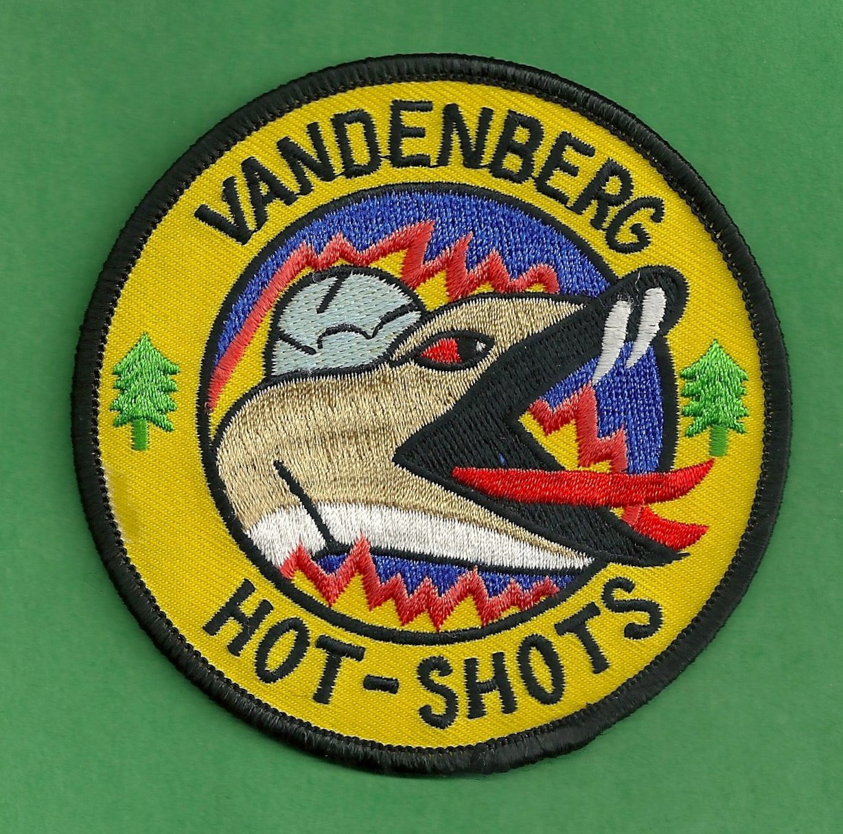 Vandenberg California USFS Hot Shots Fire Crew Patch