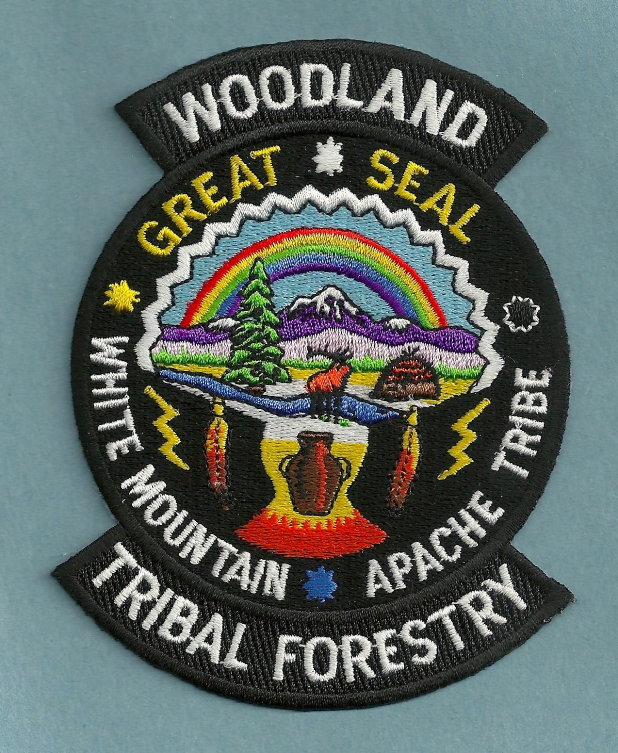 White Mountain Apache Arizona Woodland Tribal Forestry Patch