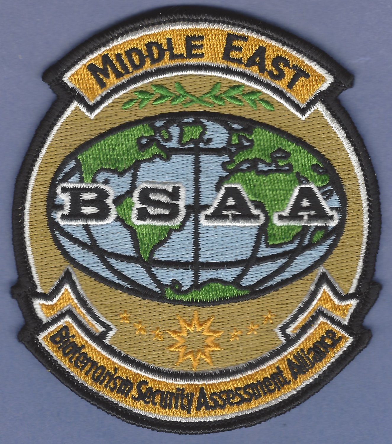 Resident Evil Middle East BSAA Bioterrorism Security Assessment ...