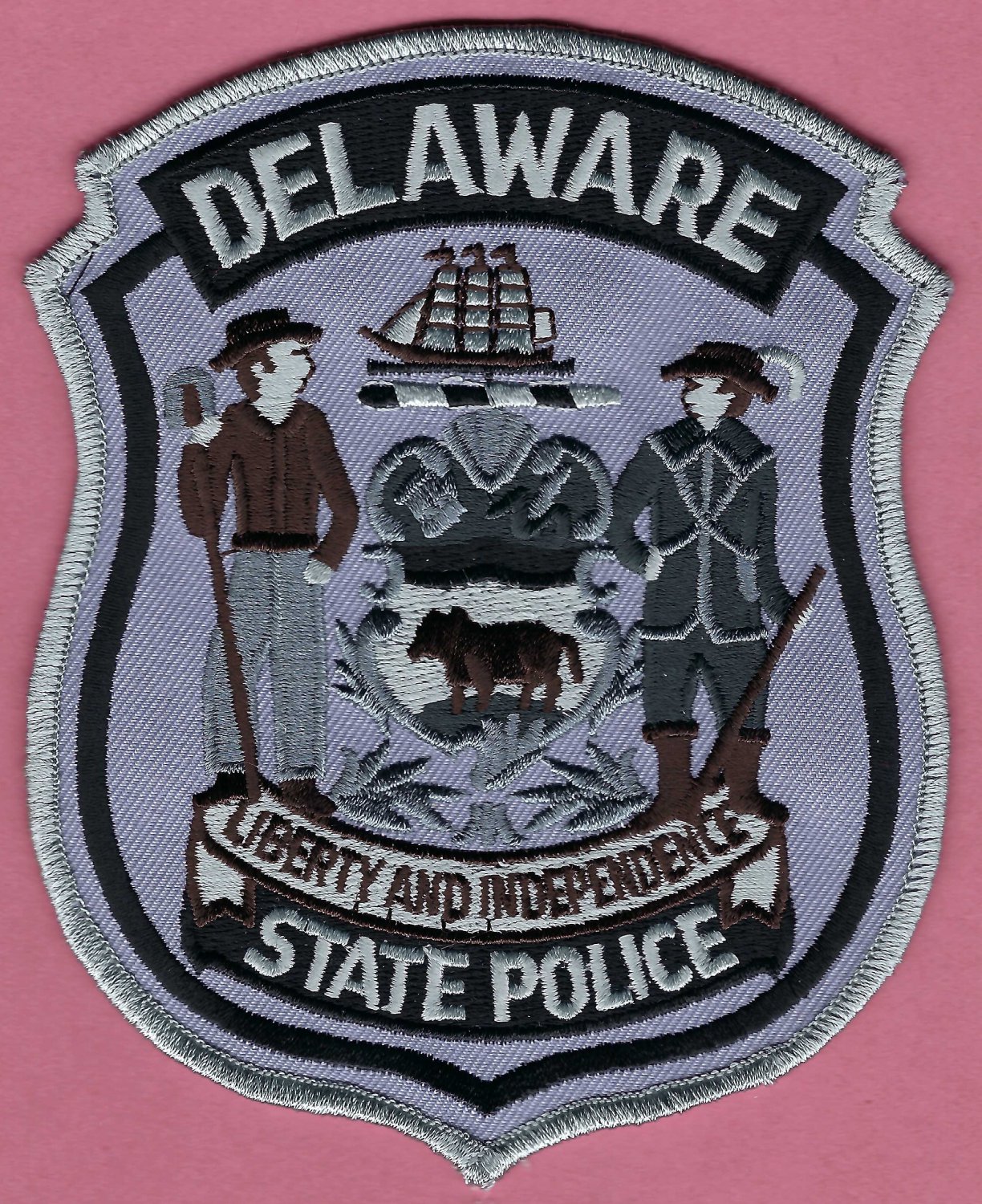 Delaware State Police Tactical Patch