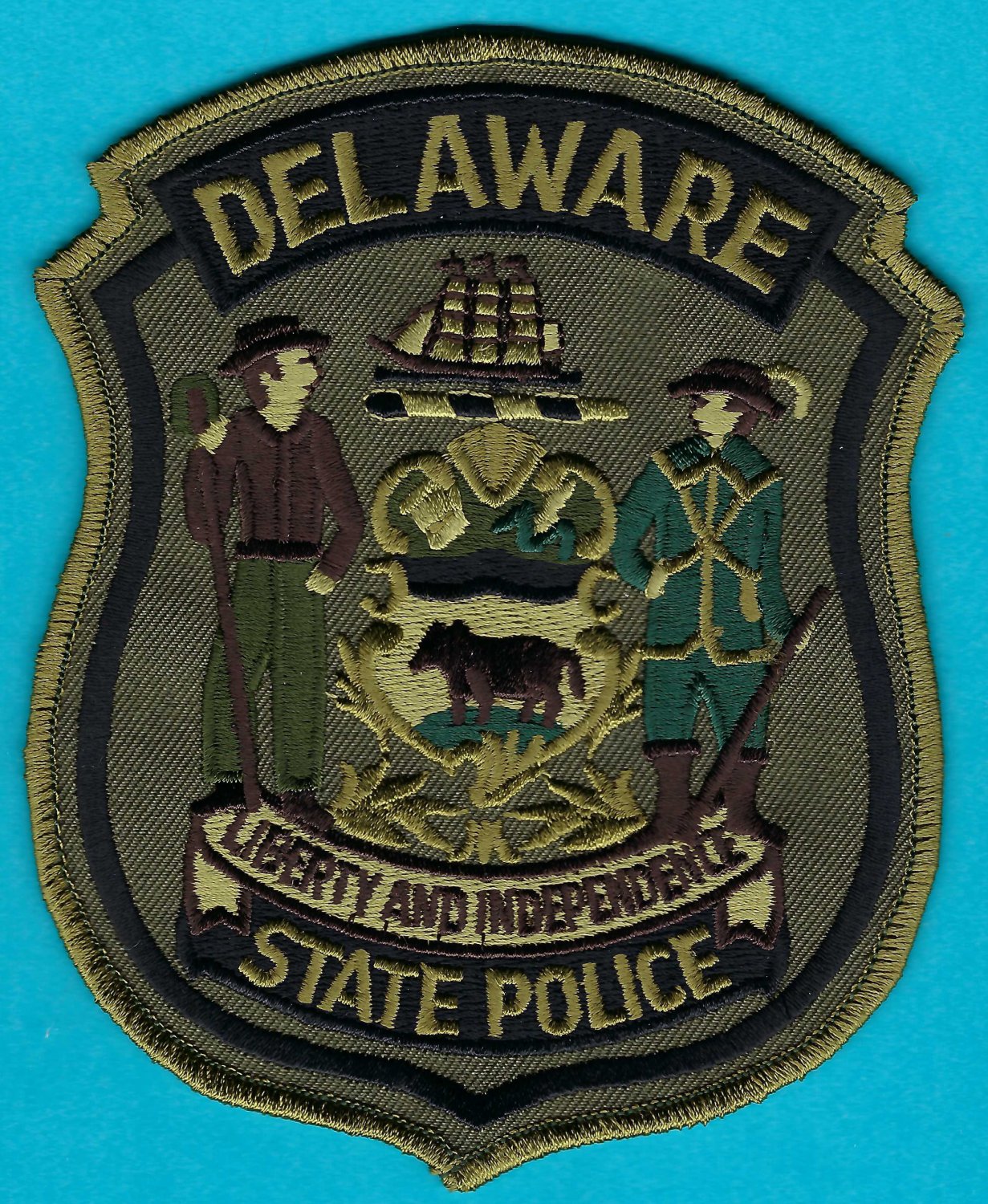 Delaware State Police Tactical Patch
