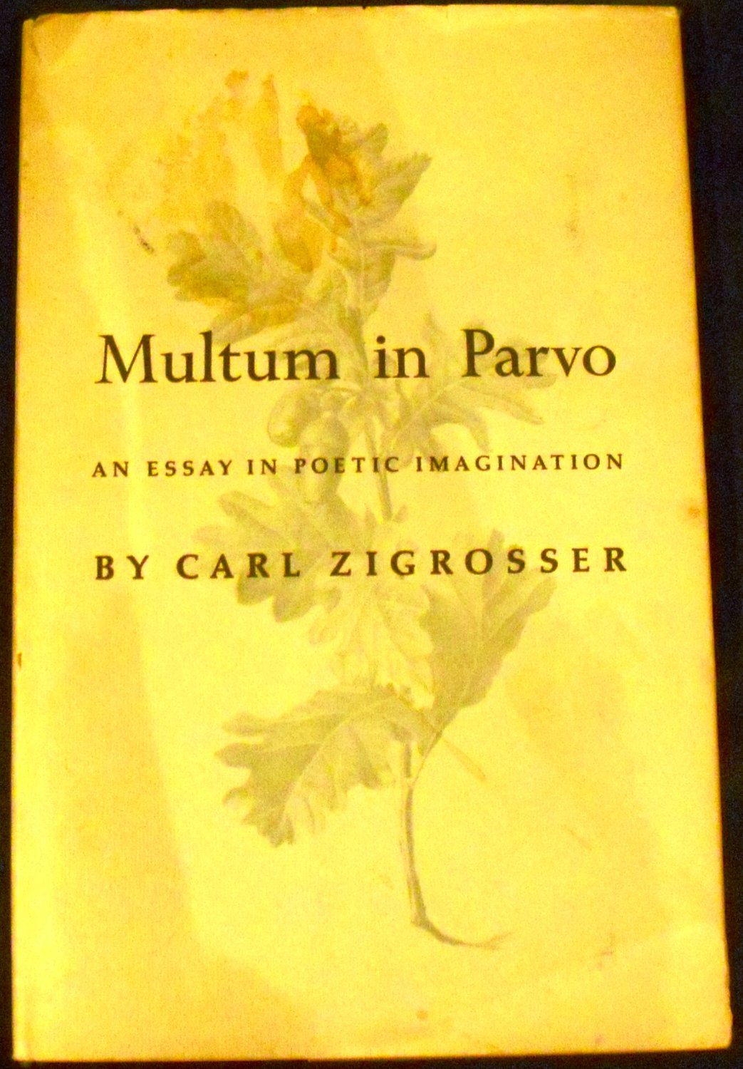 Multum in parvo: An essay in poetic imagination [Hardcover] Carl ...