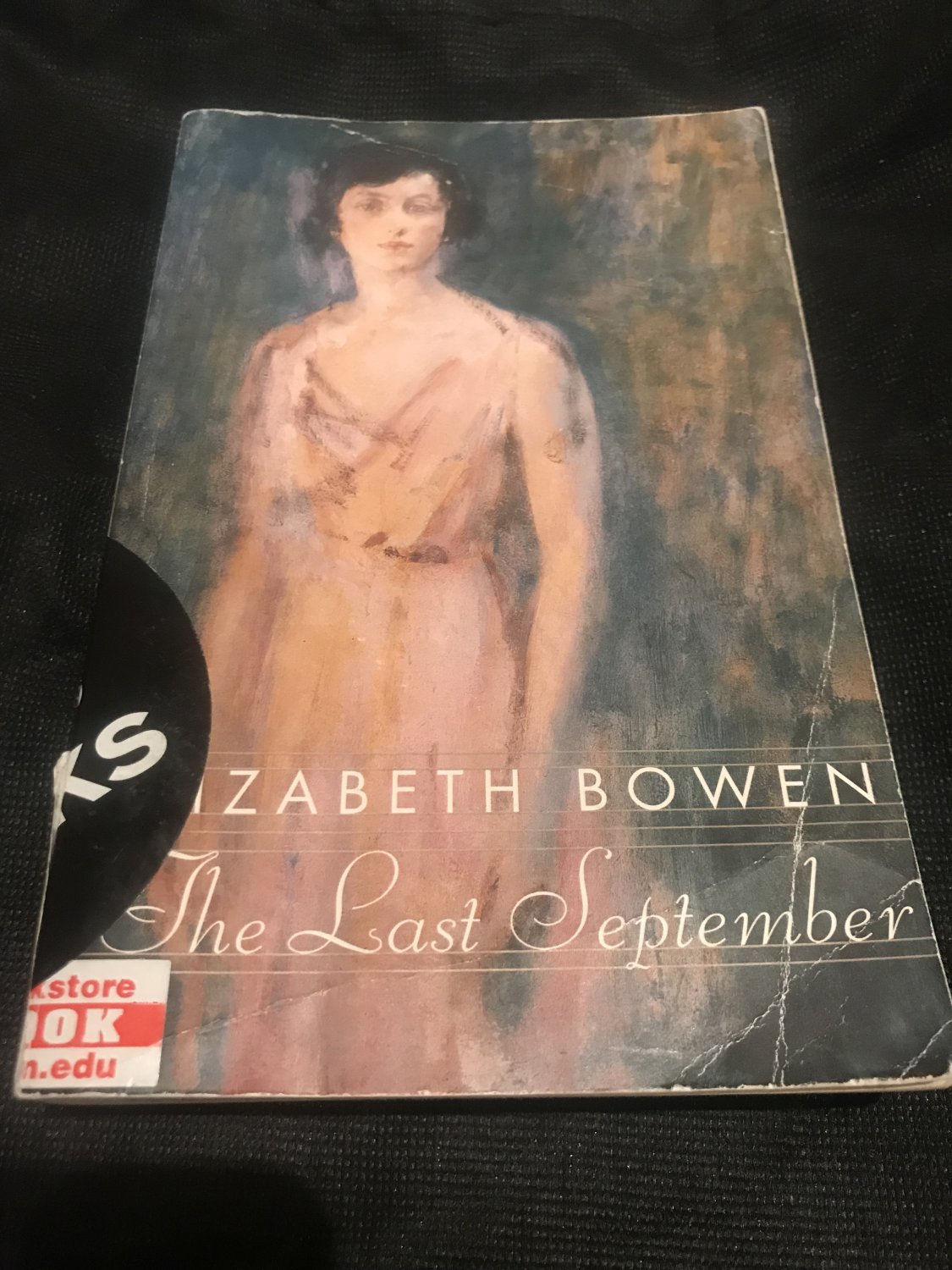 The Last September by Elizabeth Bowen | Mar 14, 2000