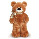Connor Bear Progressive Plush