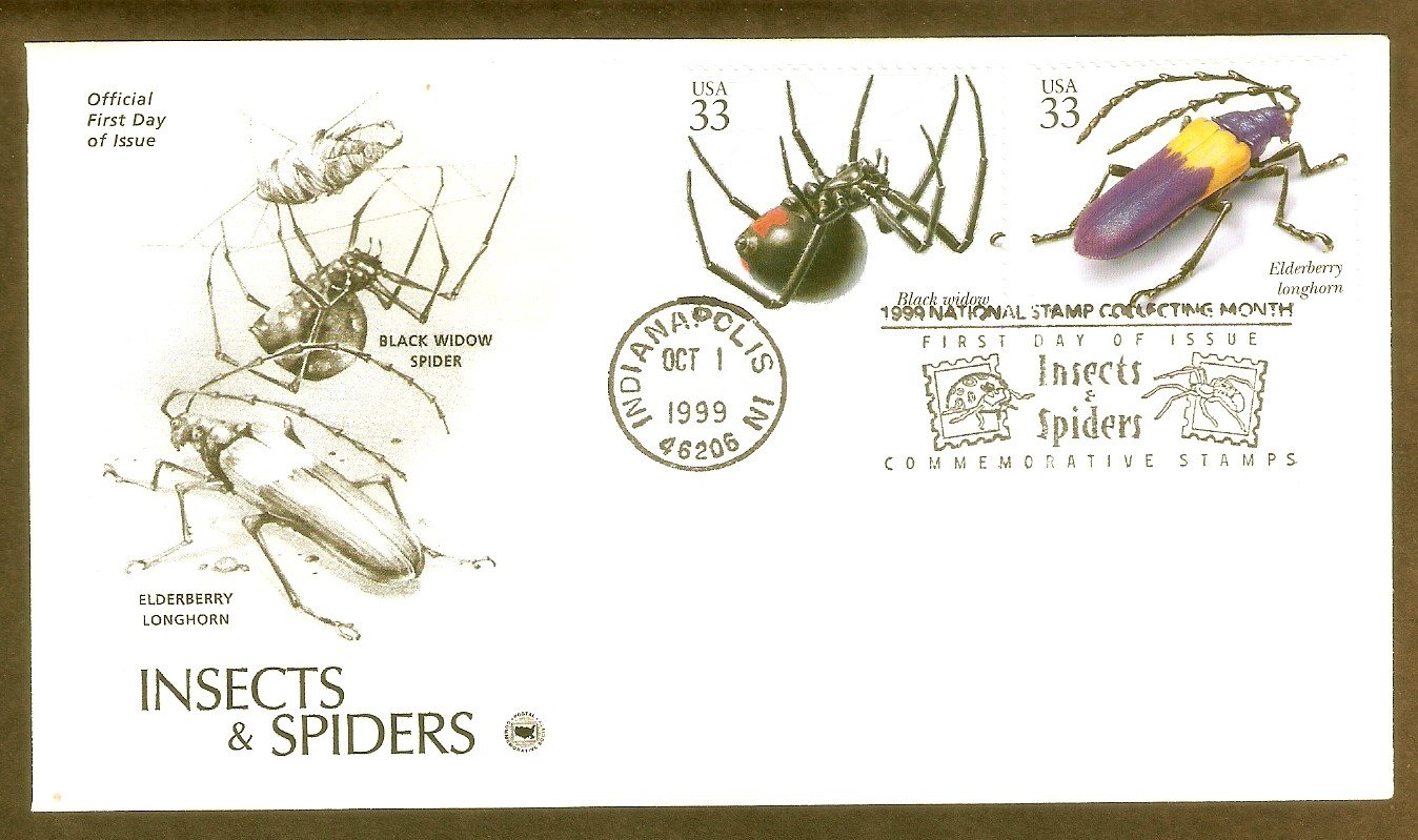 Insects and Spiders, Black Widow Spider, Elderberry Longhorn PCS, First ...