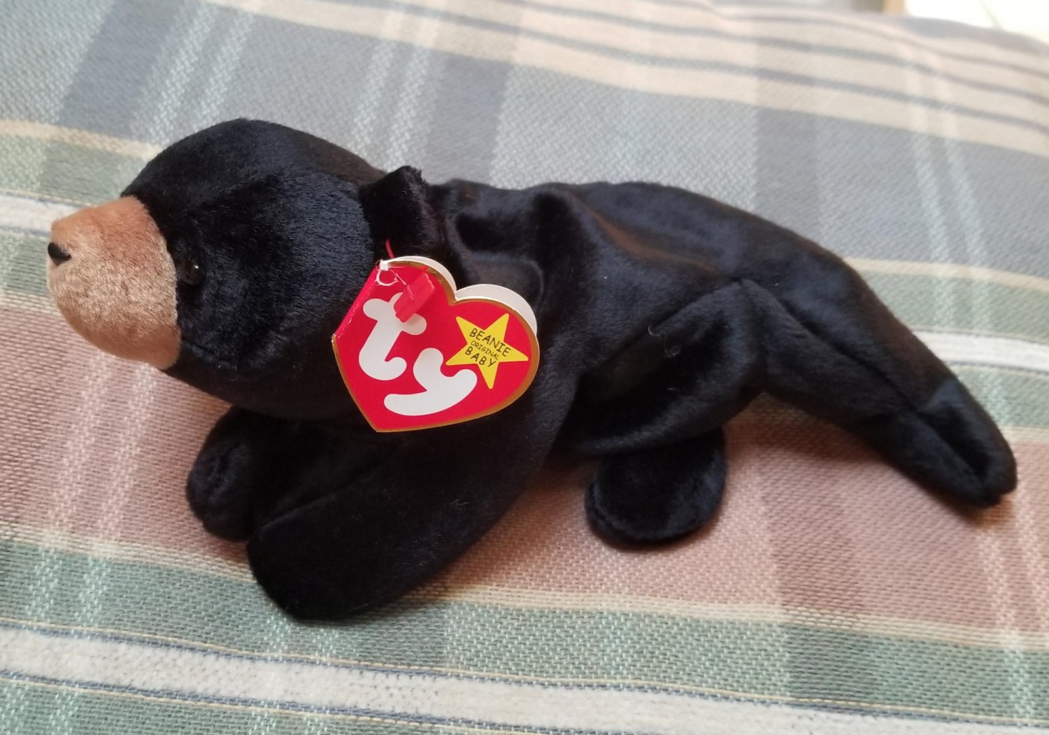 Blackie the Bear TY Beanie Baby Retired MWMT