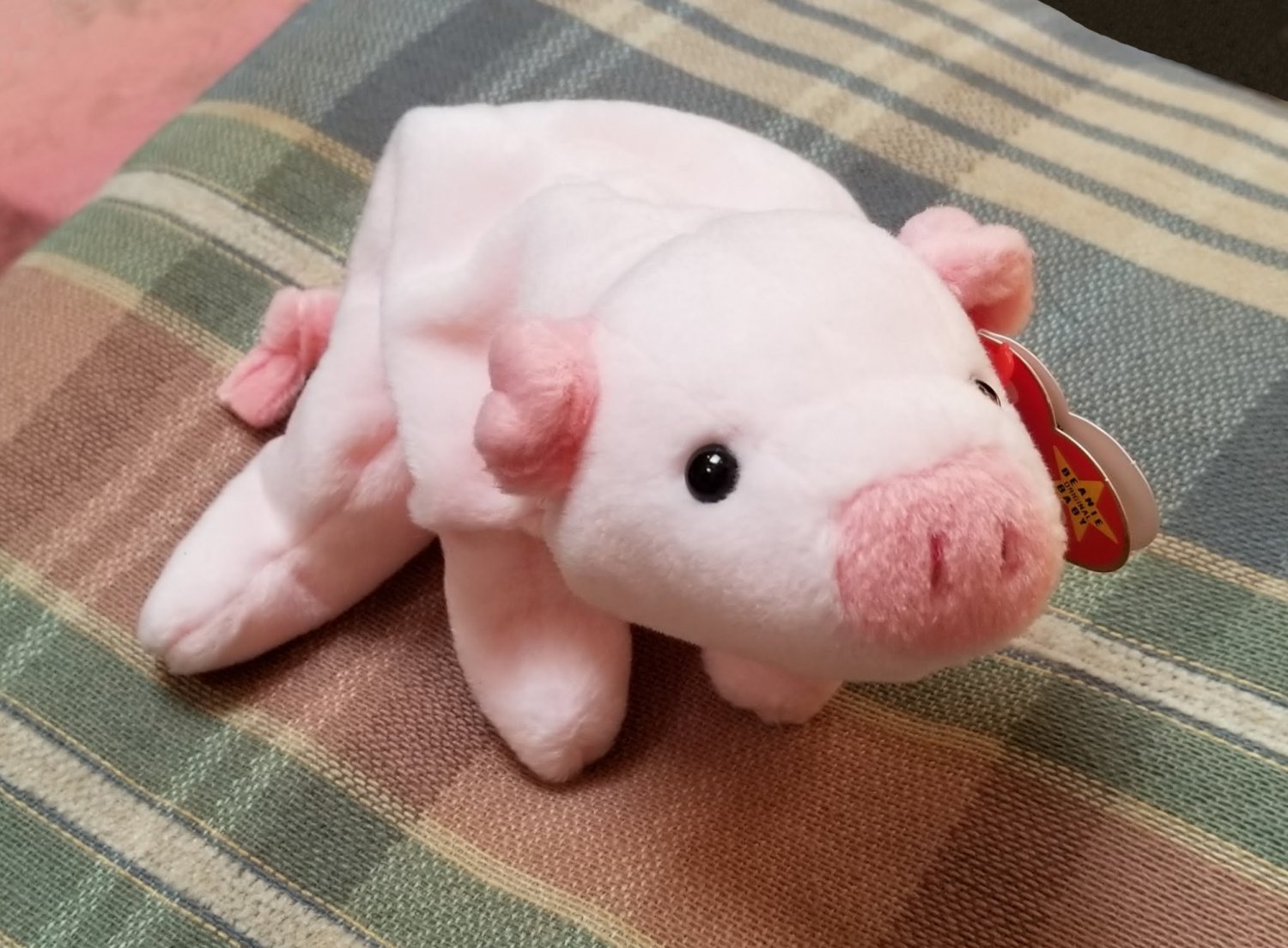 TY Squealer Beanie Baby Born 1993 with PVC Pellets Retired
