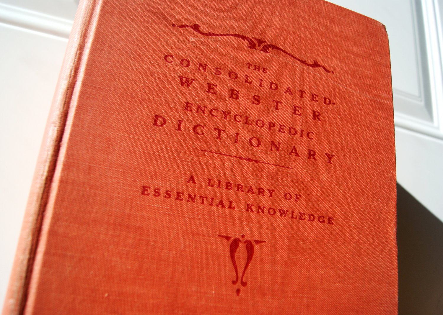 The Consolidated Webster Encyclopedic Dictionary A Library of Essential ...