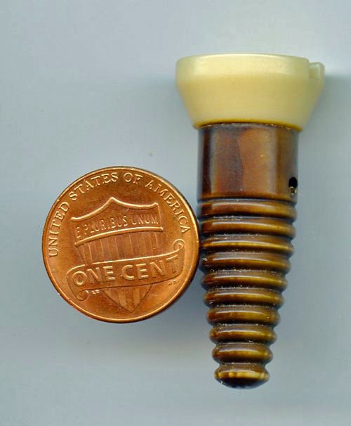 vintage Bakelite realistic large screw button