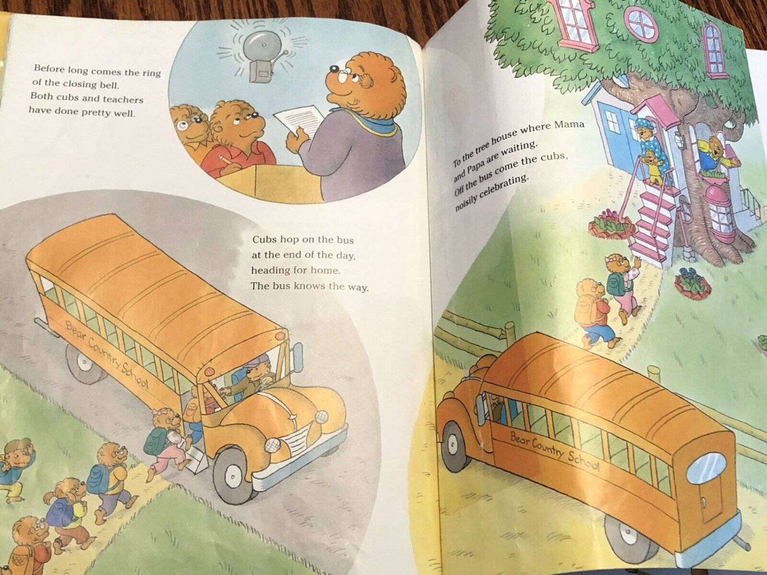 Go Back to School Berenstain Bears Hardcover Childrens Book