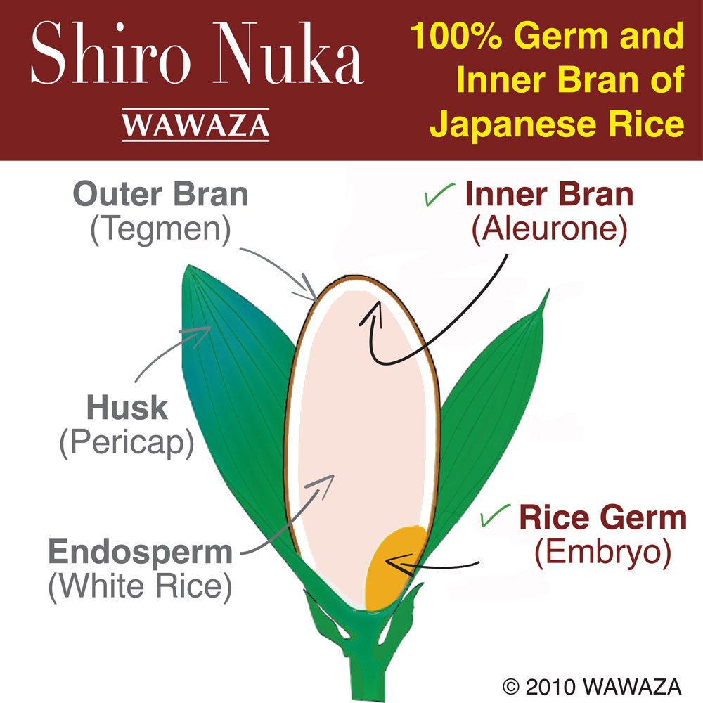 Japanese Shiro Nuka Rice Bran Skin Revitalizer