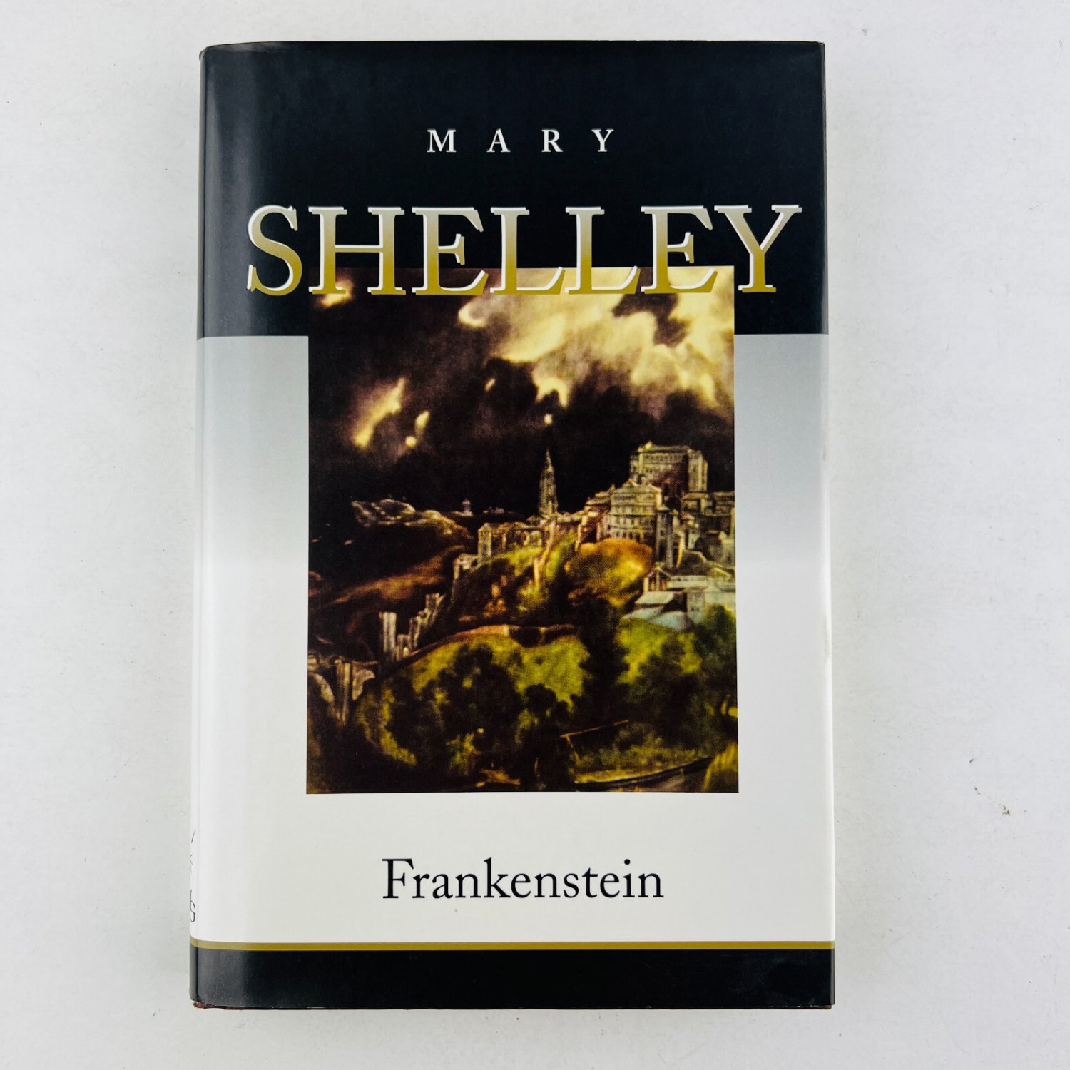 Frankenstein - Mary Shelley (Meijer Family Classics) Hardcover Book ...