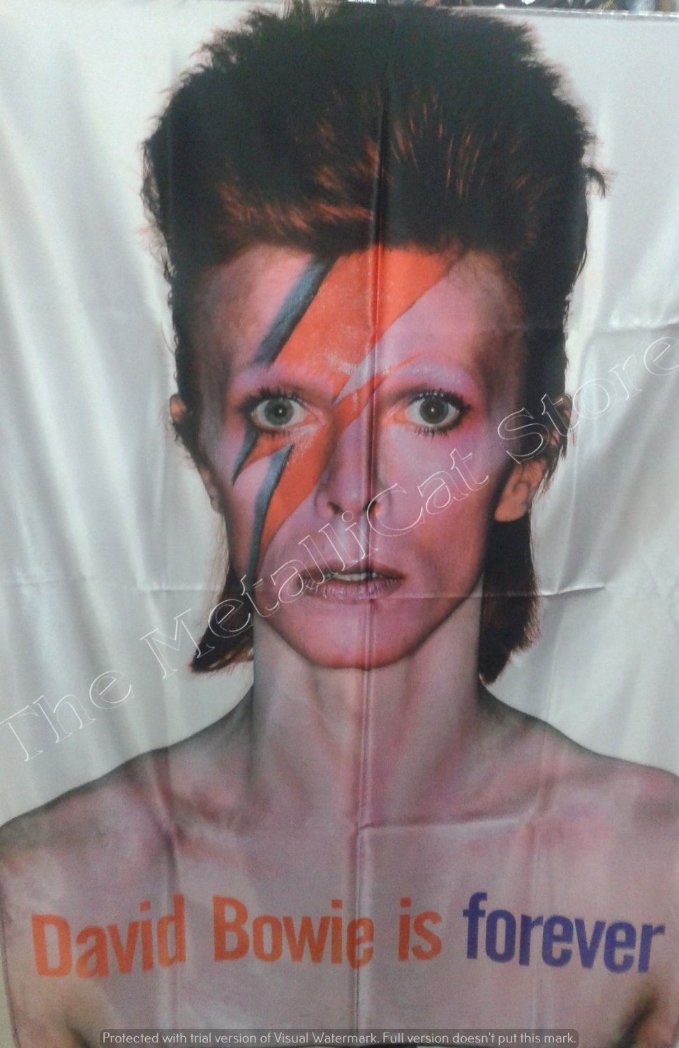 DAVID BOWIE Aladdin Sane FLAG CLOTH POSTER WALL TAPESTRY BANNER CD GLAM ...