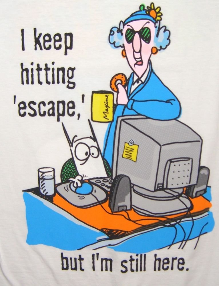 Ladies Hallmark Maxine Shirt Medium Hit Escape I'm Still Here Computer ...