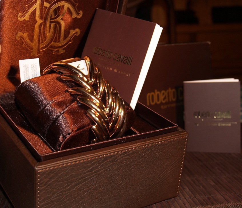 New DESIGNER 100% authentic ROBERTO CAVALLI SPIKE WATCH $610