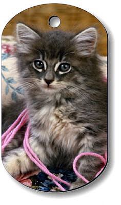 Picture ID Tag for humans - Color Pictures comes with ball chain