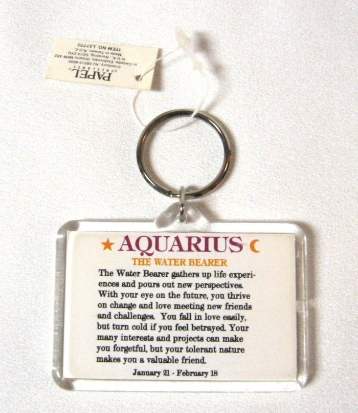 Zodiac Sign Born Jan 21-Feb 18 The Water Bearer Aquarius Keychain New