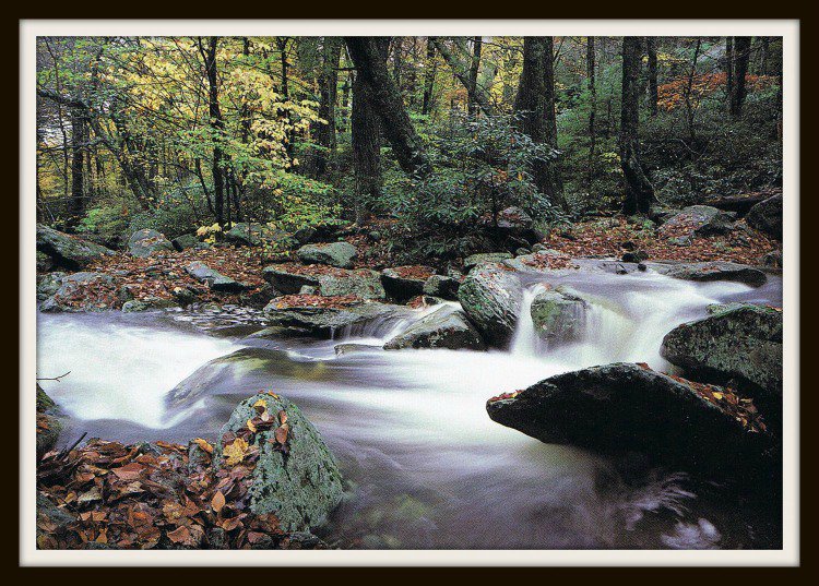 Mountain Stream in Autumn Grandfather Mountain Linville North Carolina ...