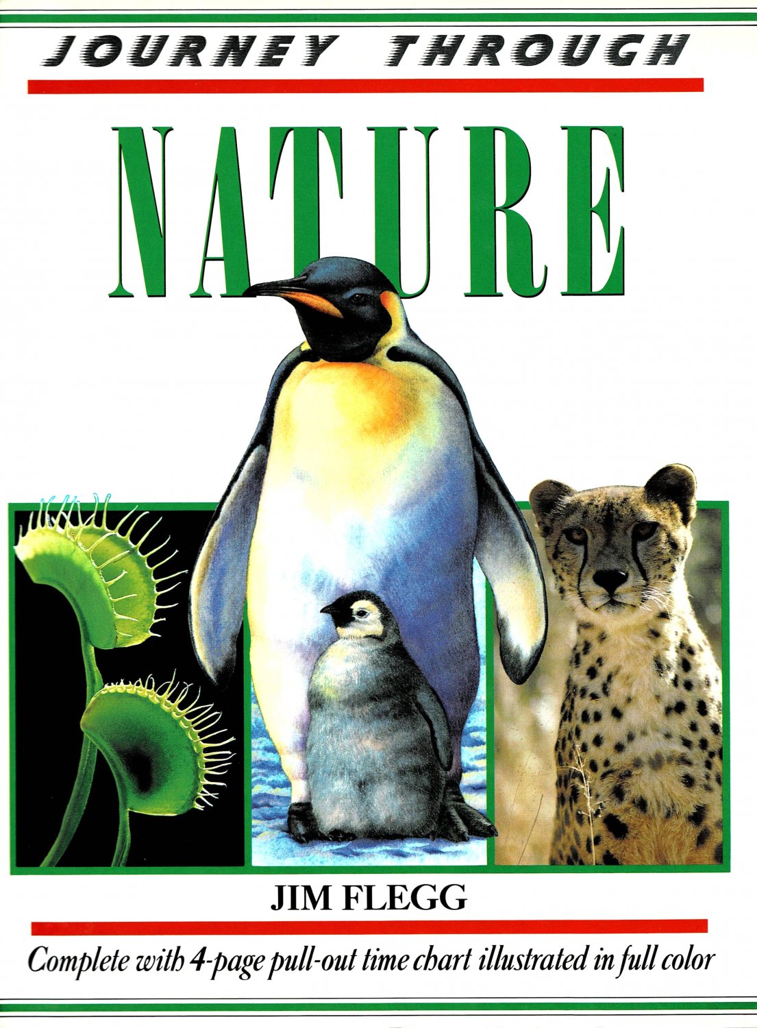 Journey Through Nature By Jim Flegg with 4 Page Pull Out Chart ...