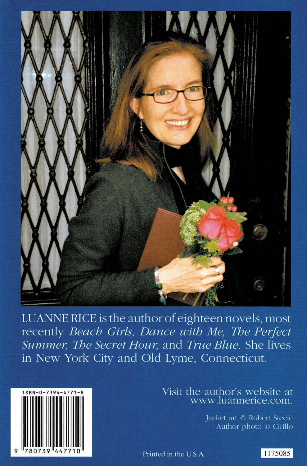 Silver Bells A Holiday Tale By Luanne Rice Large Print Edition ...