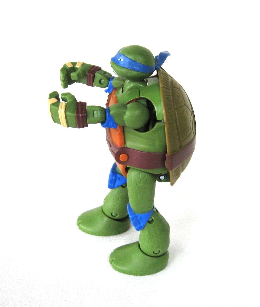 Teenage Mutant Ninja Turtle Leonardo Transforms From Pet Turtle to ...
