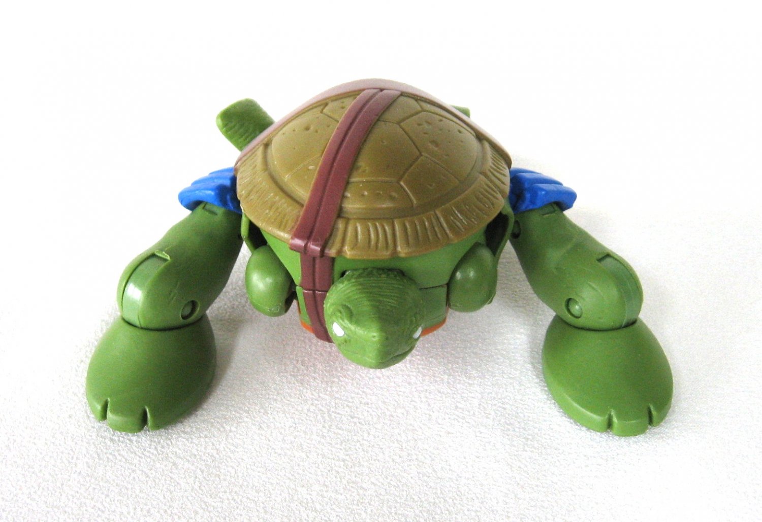 Teenage Mutant Ninja Turtle Leonardo Transforms From Pet Turtle to ...