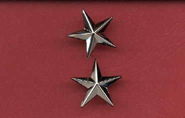 Pair of One star general rank insignia 1/2 size.
